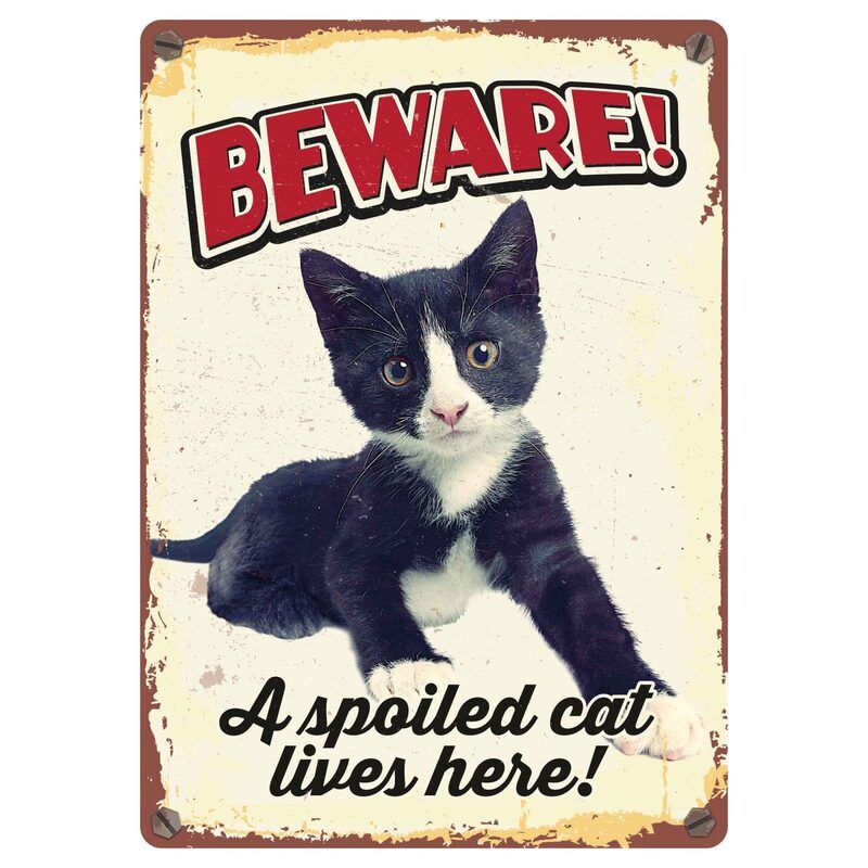 Sign metal Beware Spoiled cat (v) - Plenty Gifts
