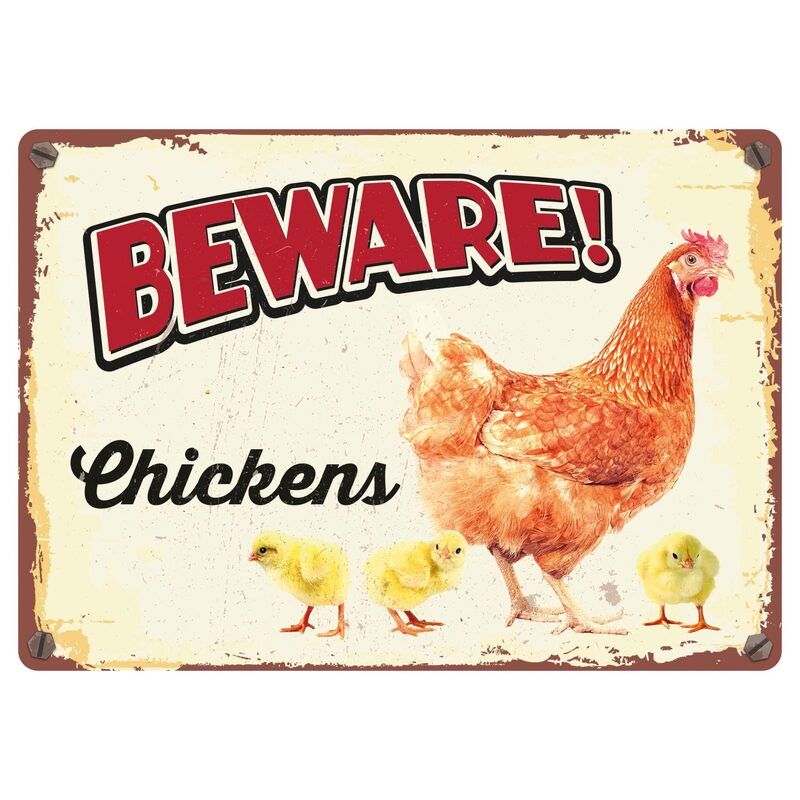 Sign metal Beware Chickens (h) - Plenty Gifts